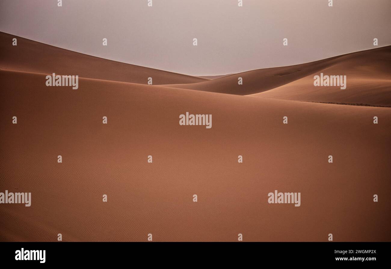 Sahara desert dunes. The Sahara is a desert spanning across North ...