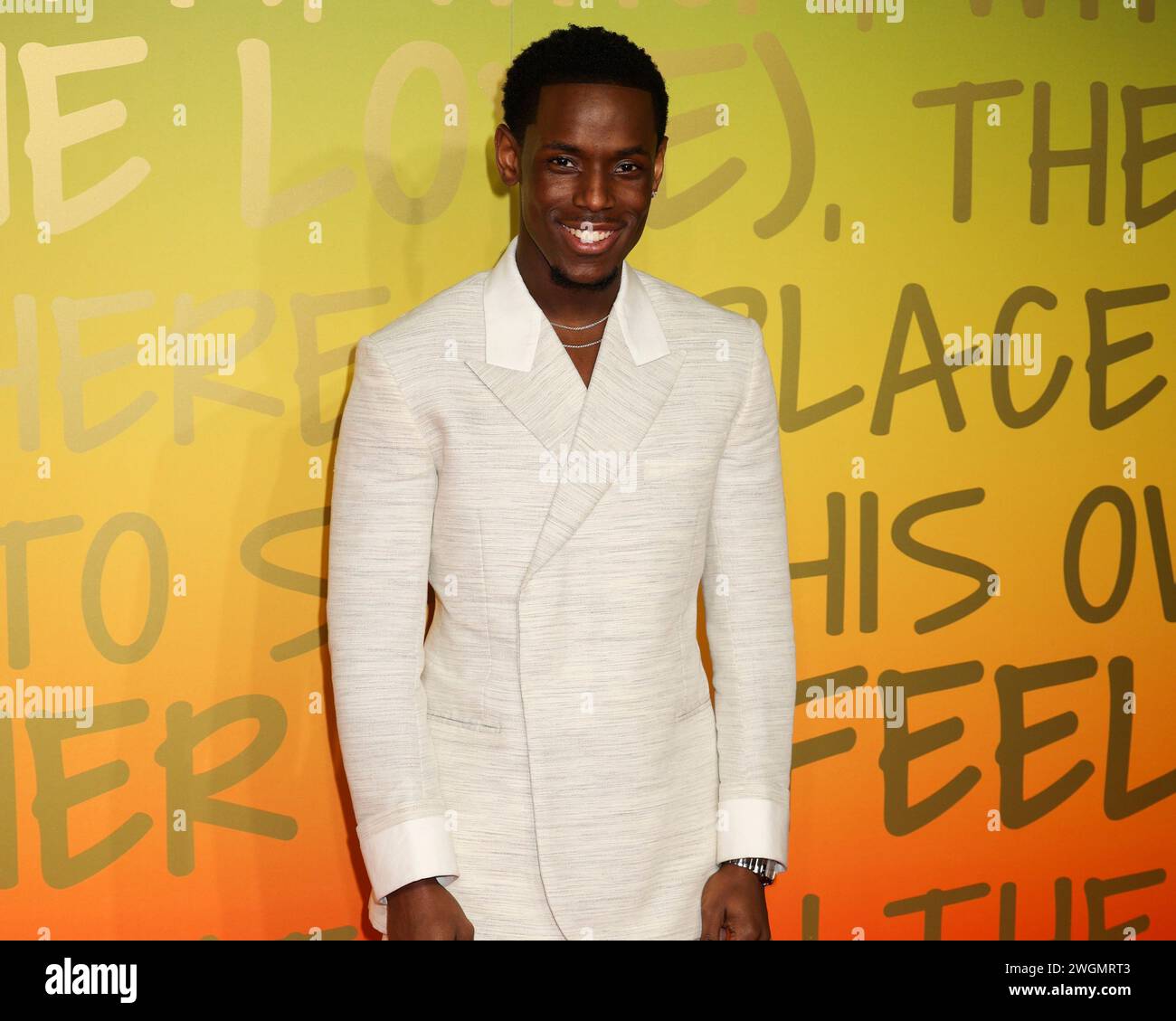London, UK. 30th Jan, 2024. Michael Ward attends the UK Premiere of ...