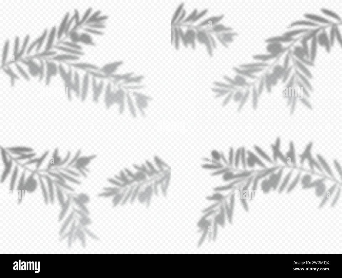 Olive tree branch leaves, shadow overlay background. Vector set of ...