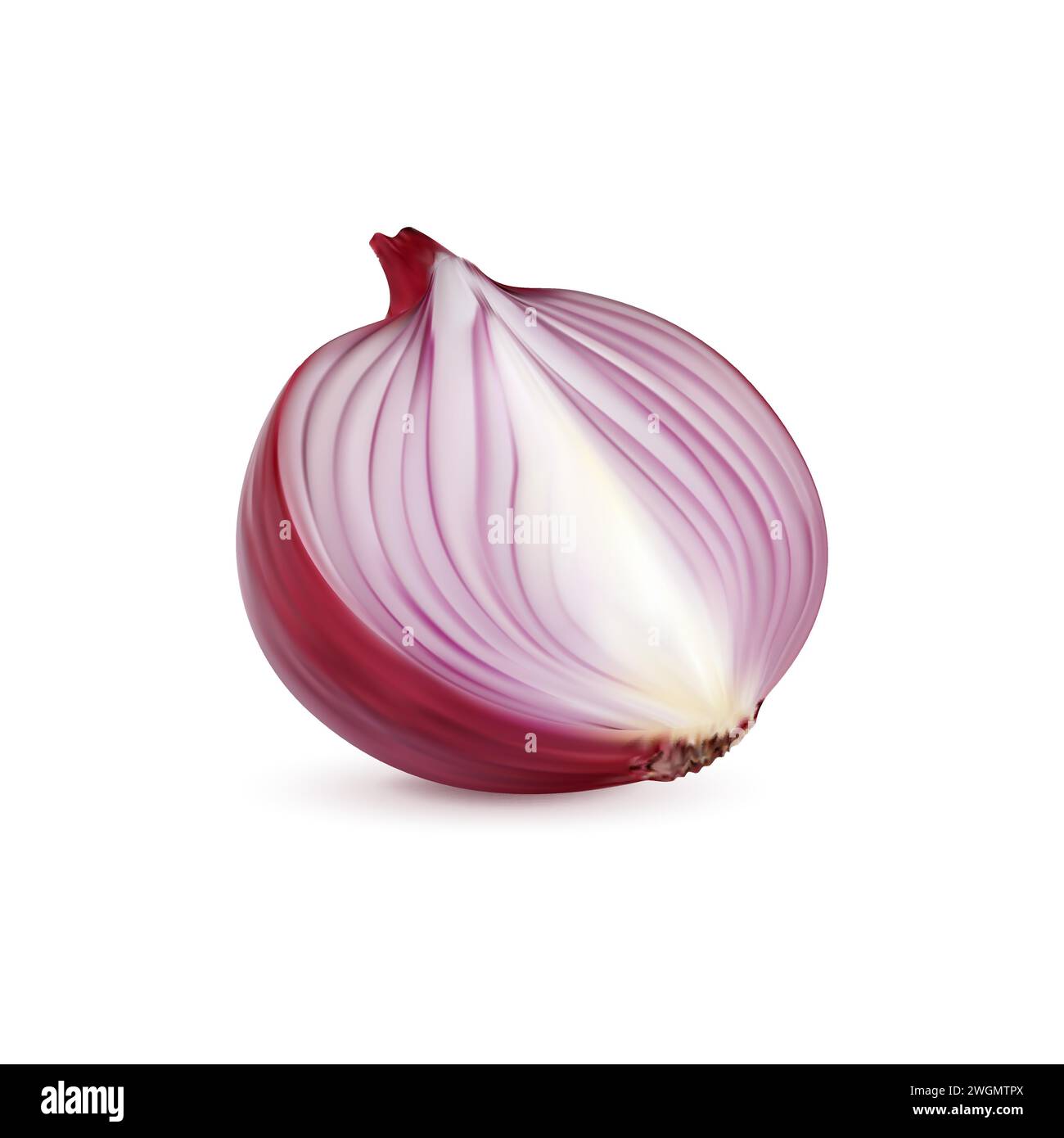 Onion layers Stock Vector Images - Alamy