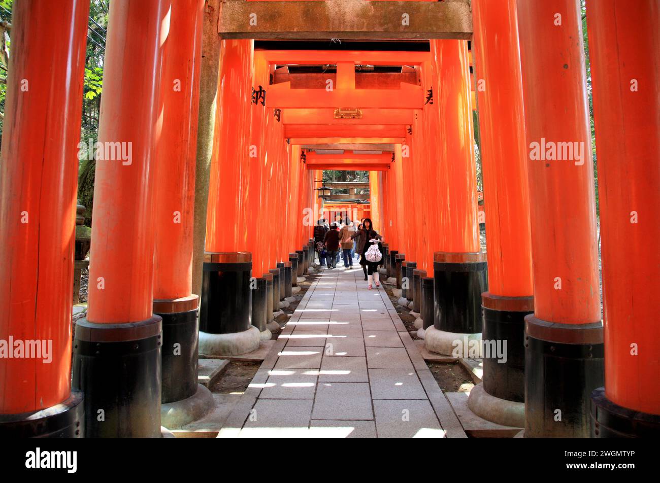 The Fushimi Inari Taisha or Fushimi Inari Shrine in Kyoto, Japan Stock ...