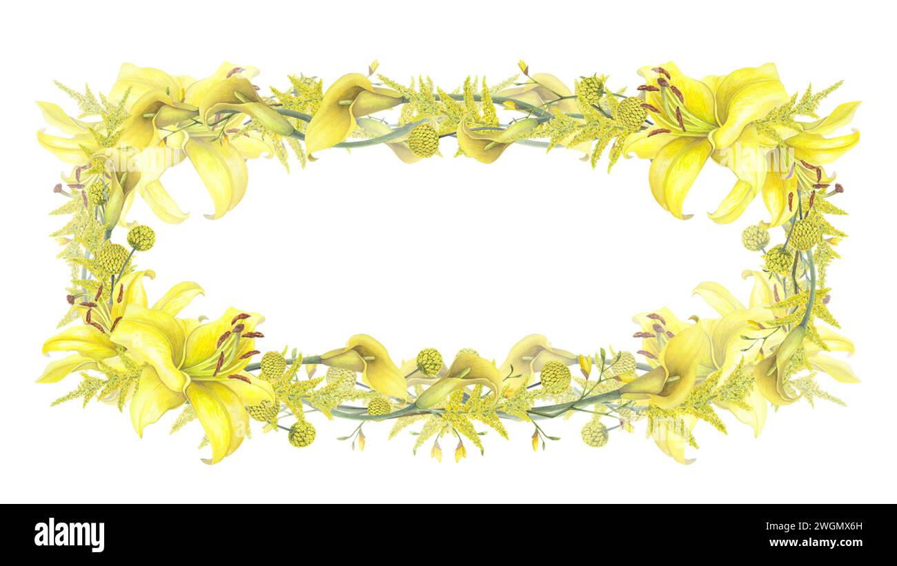 Lilies Yellow flower, calla lilies, craspedia, Solidago Frame border ...