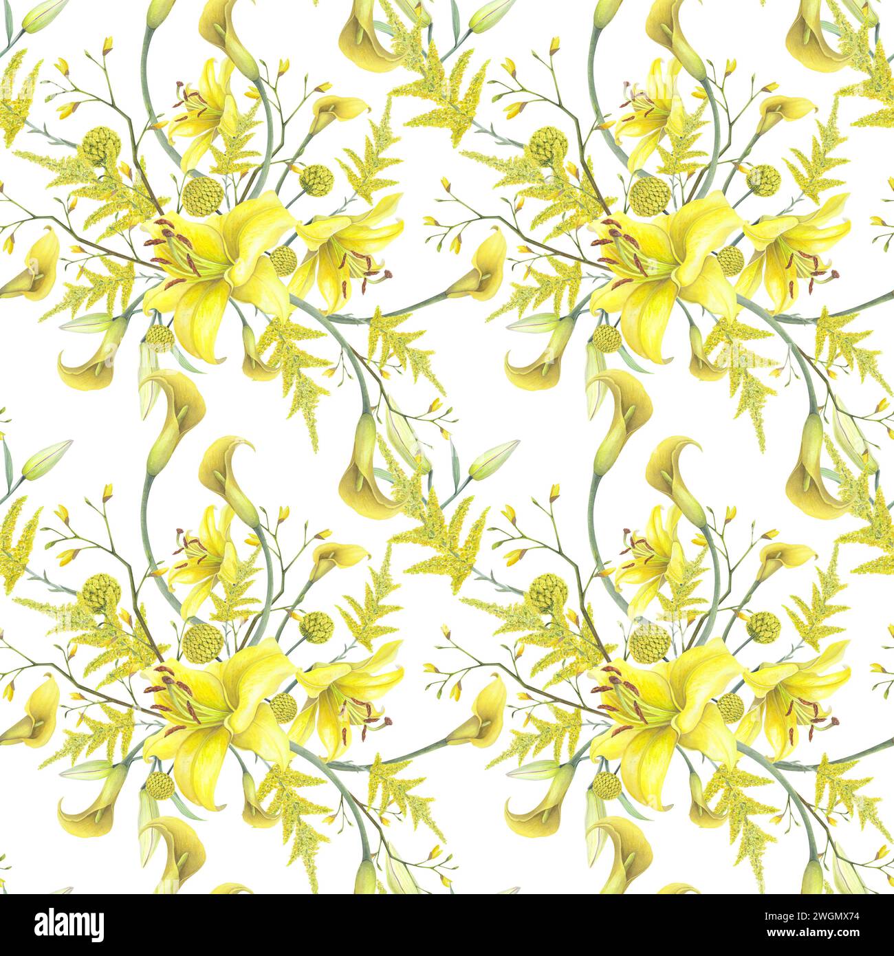 Lilies Yellow flower, calla lilies, craspedia seamless pattern isolated white background ...