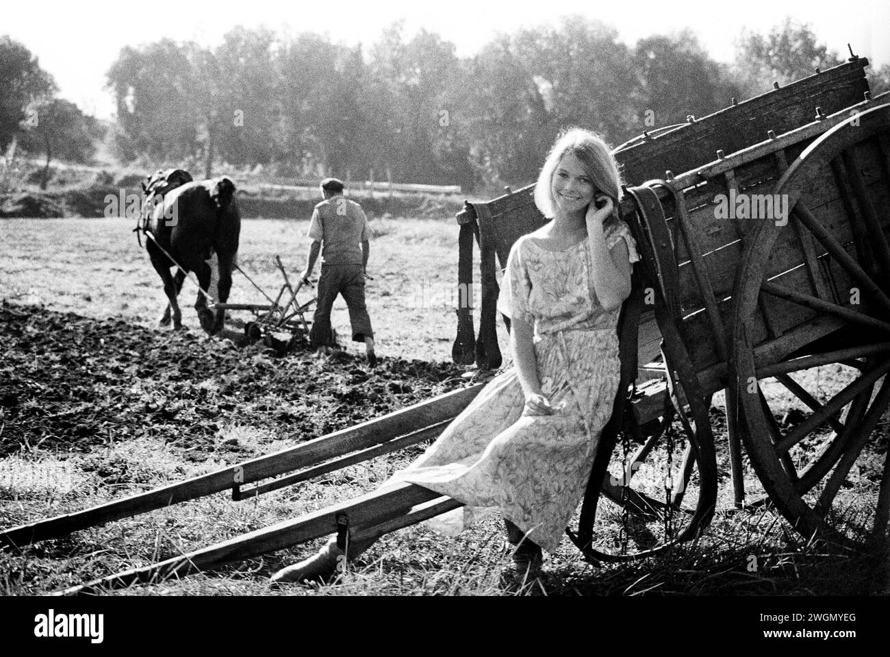 pretty blond hair young woman on charette with country man background ...