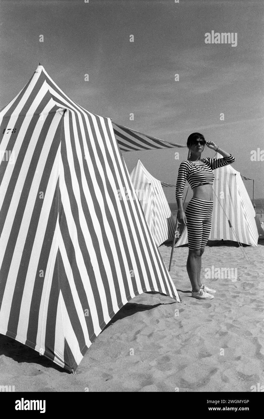 pretty dark hair young woman attractive body good looking front the ...