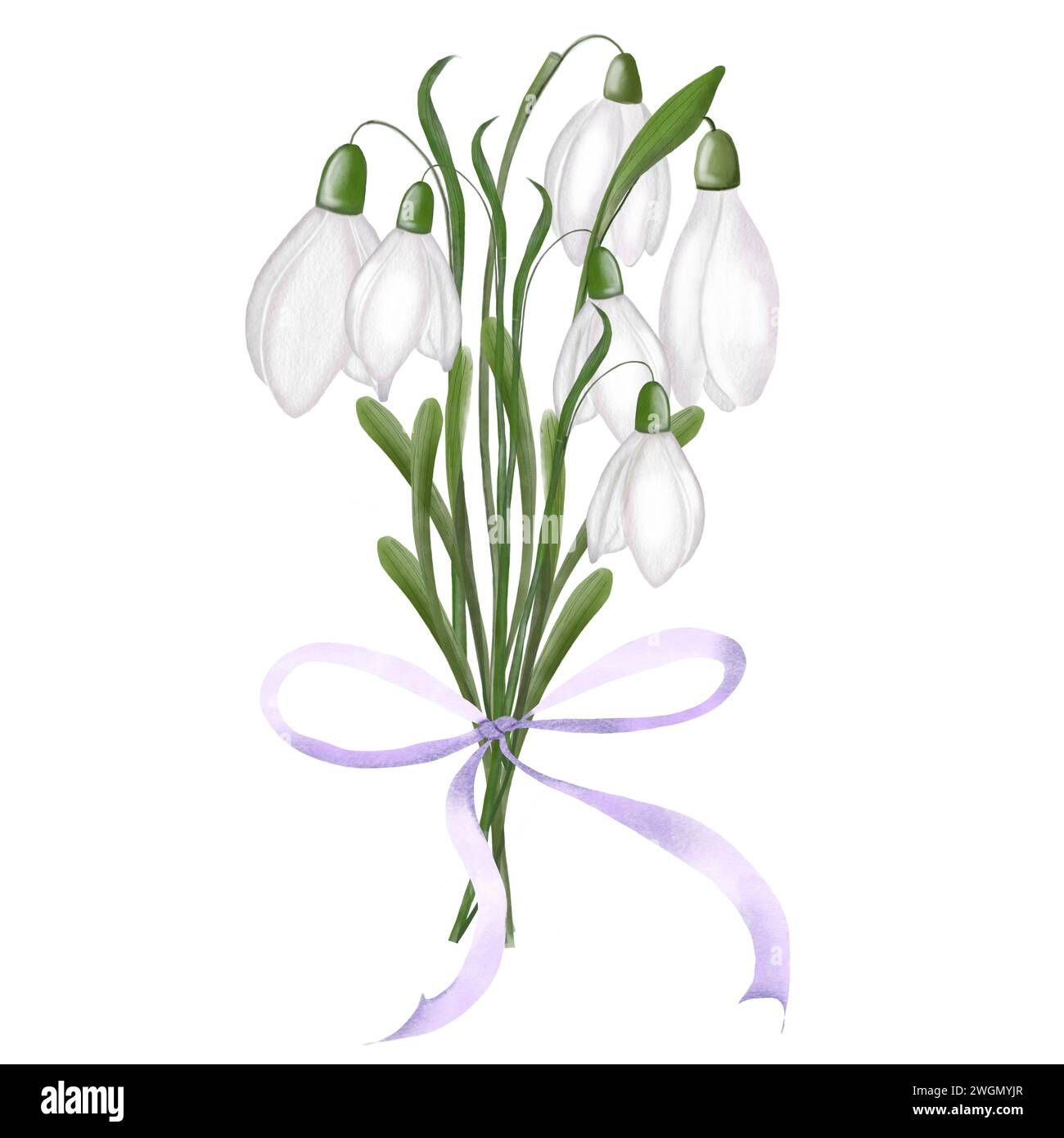 Snowdrops watercolor flowers in a bouquet hand painting. Clip art on ...