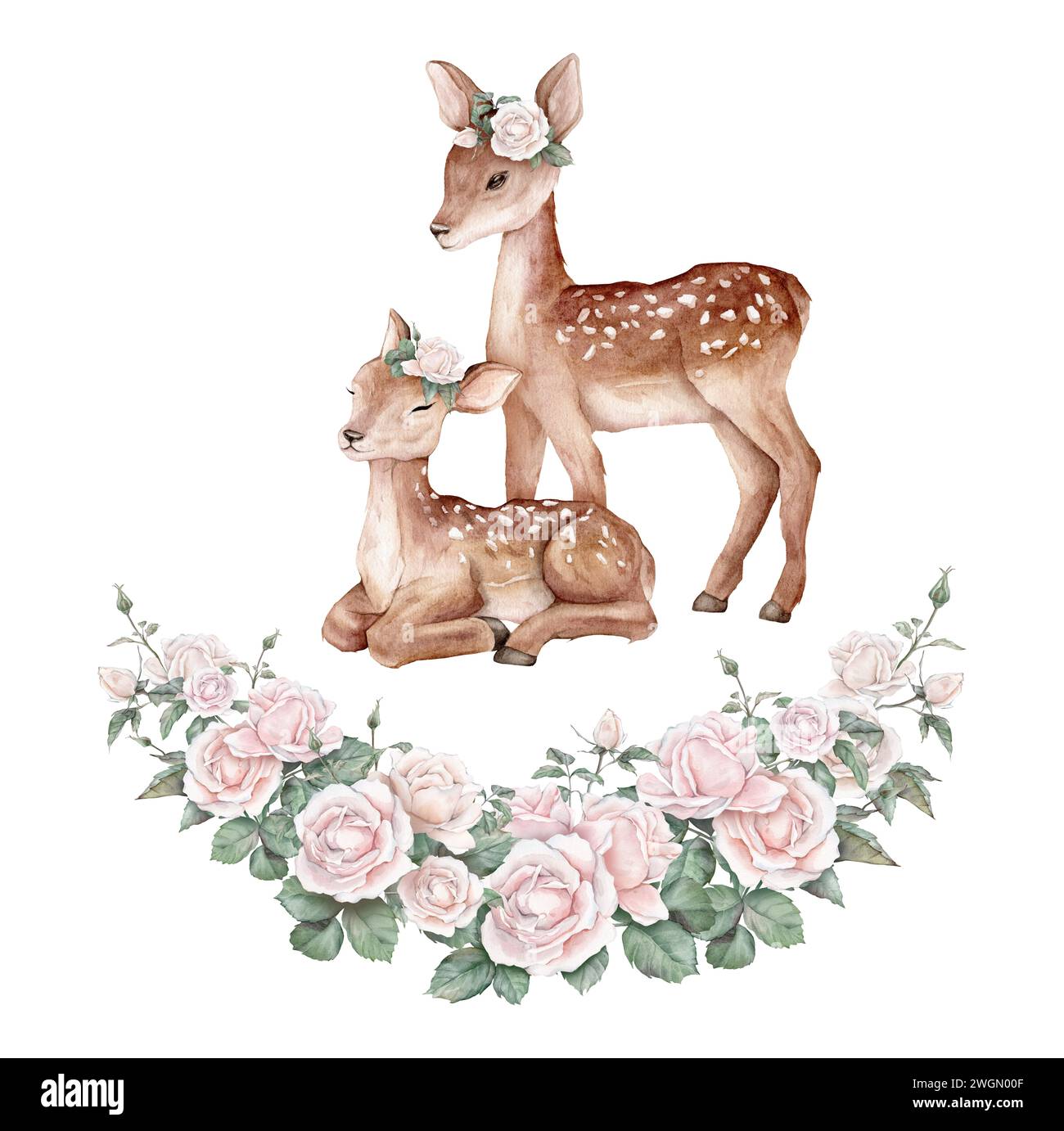 Watercolor baby deer and white roses. Spotted deer isolated on white ...