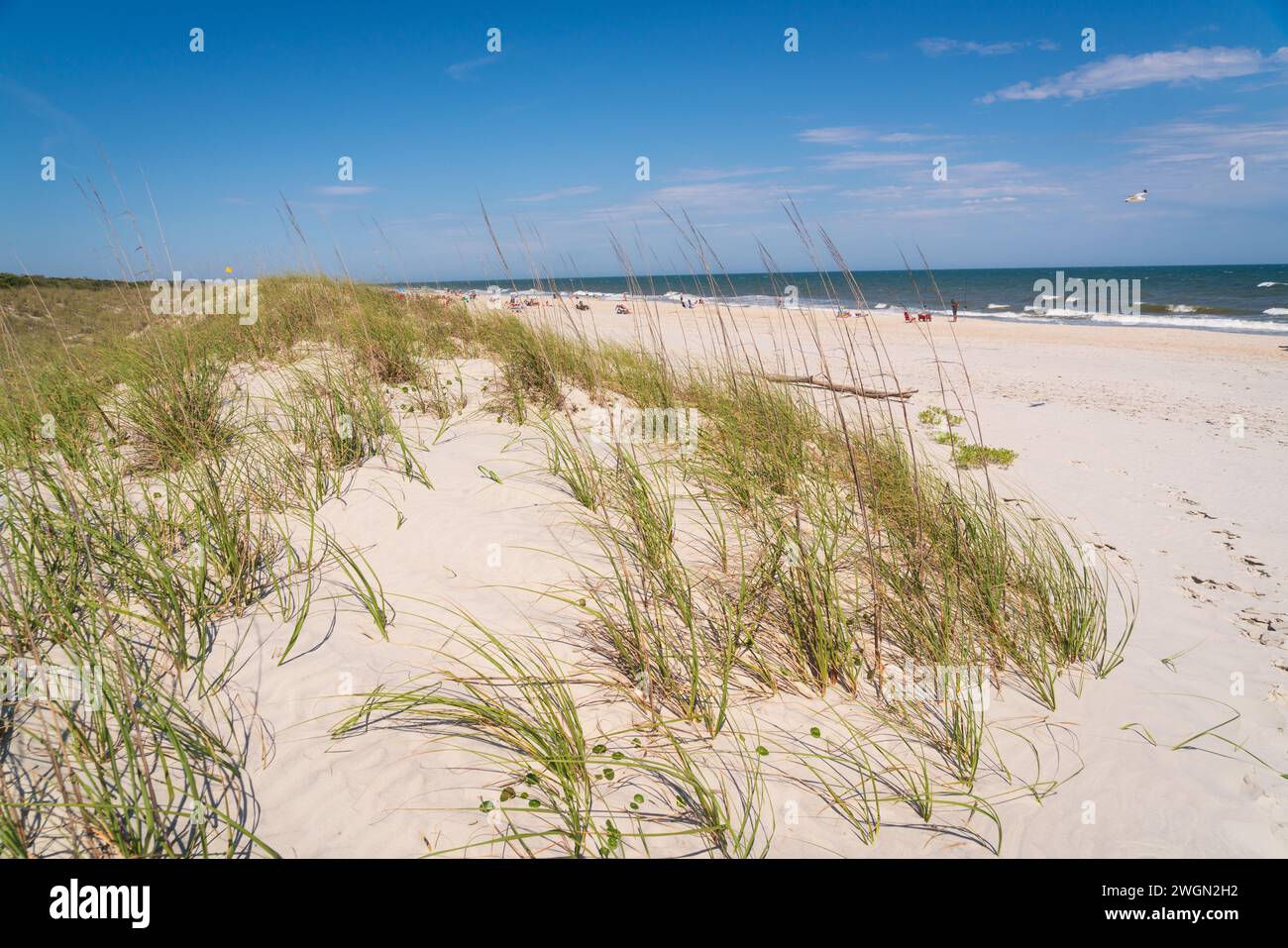 Beach Trail at Atalaya Castle, home of Anna and Archer Huntington, Huntington State Park, USA ...