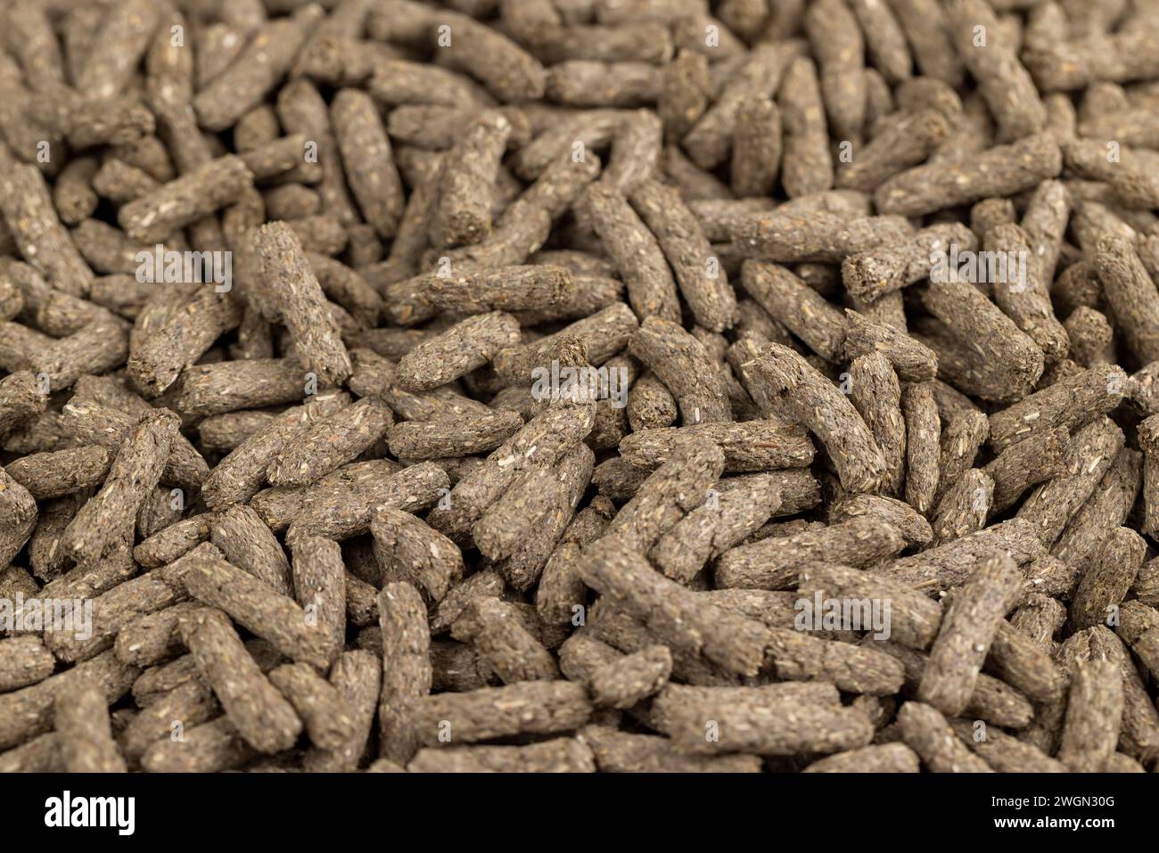 combined food for rodent pets, combined healthy food for rodent ...