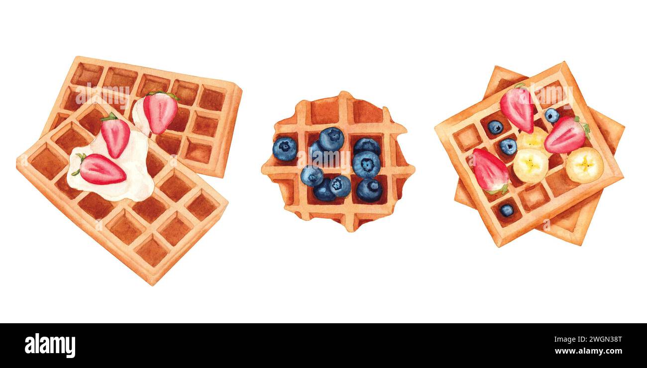 Set of watercolor waffles isolated on a white background Stock Photo ...