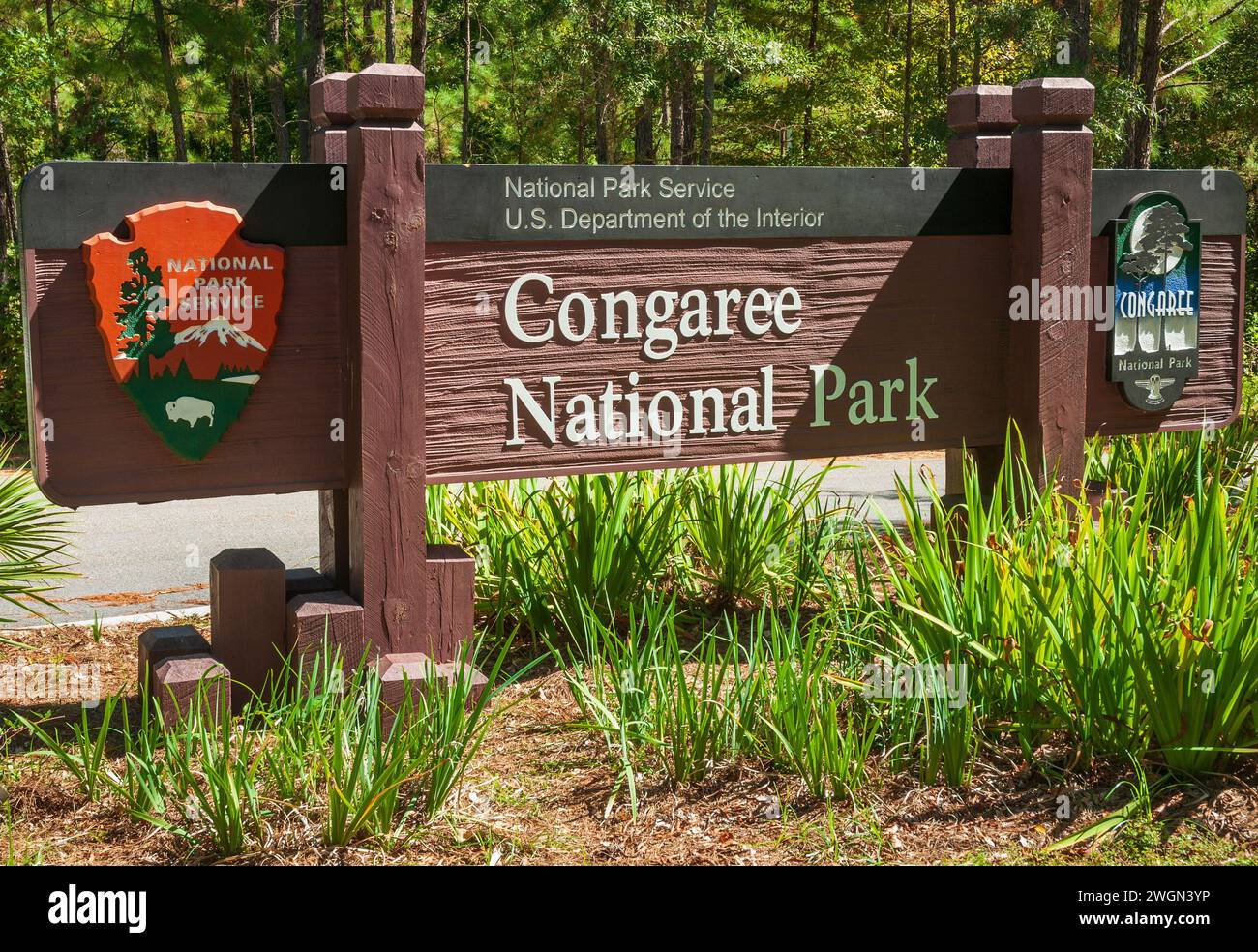 Congaree National Park in central South Carolina, USA Stock Photo - Alamy
