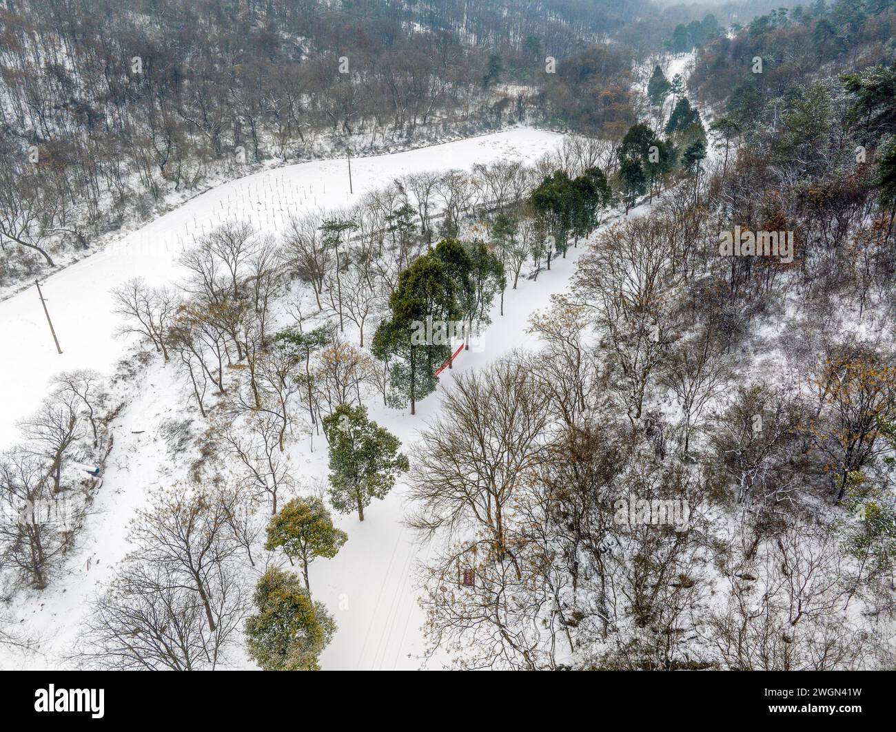 Aerial photo shows the snow scenery of Lumensi National Forest Park in ...
