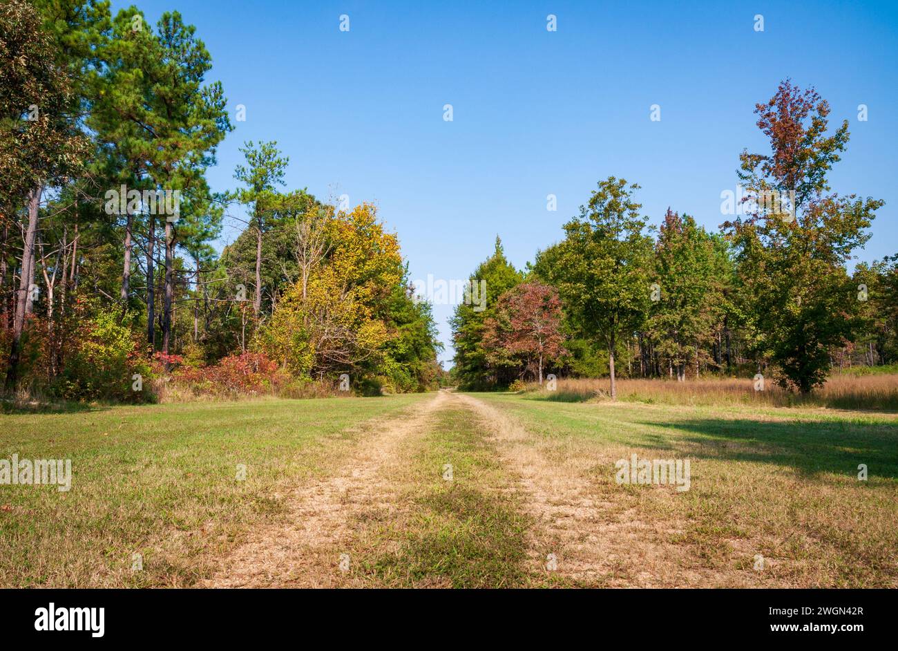 The Cowpens National Battlefield Park, in South Carolina, Major ...