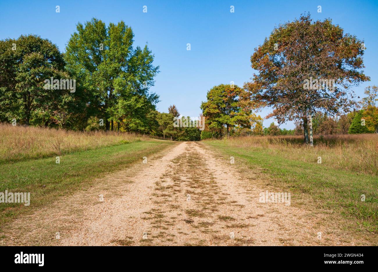 The Cowpens National Battlefield Park, in South Carolina, Major ...