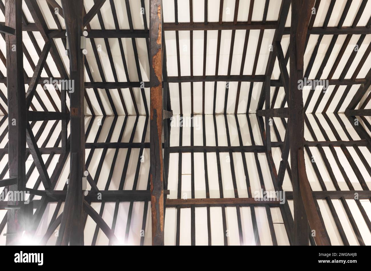 Ceiling great hall “castle hi-res stock photography and images - Alamy