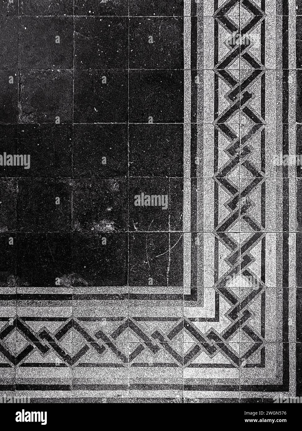 In shades of gray: A black and white photo unveils the intricate beauty ...