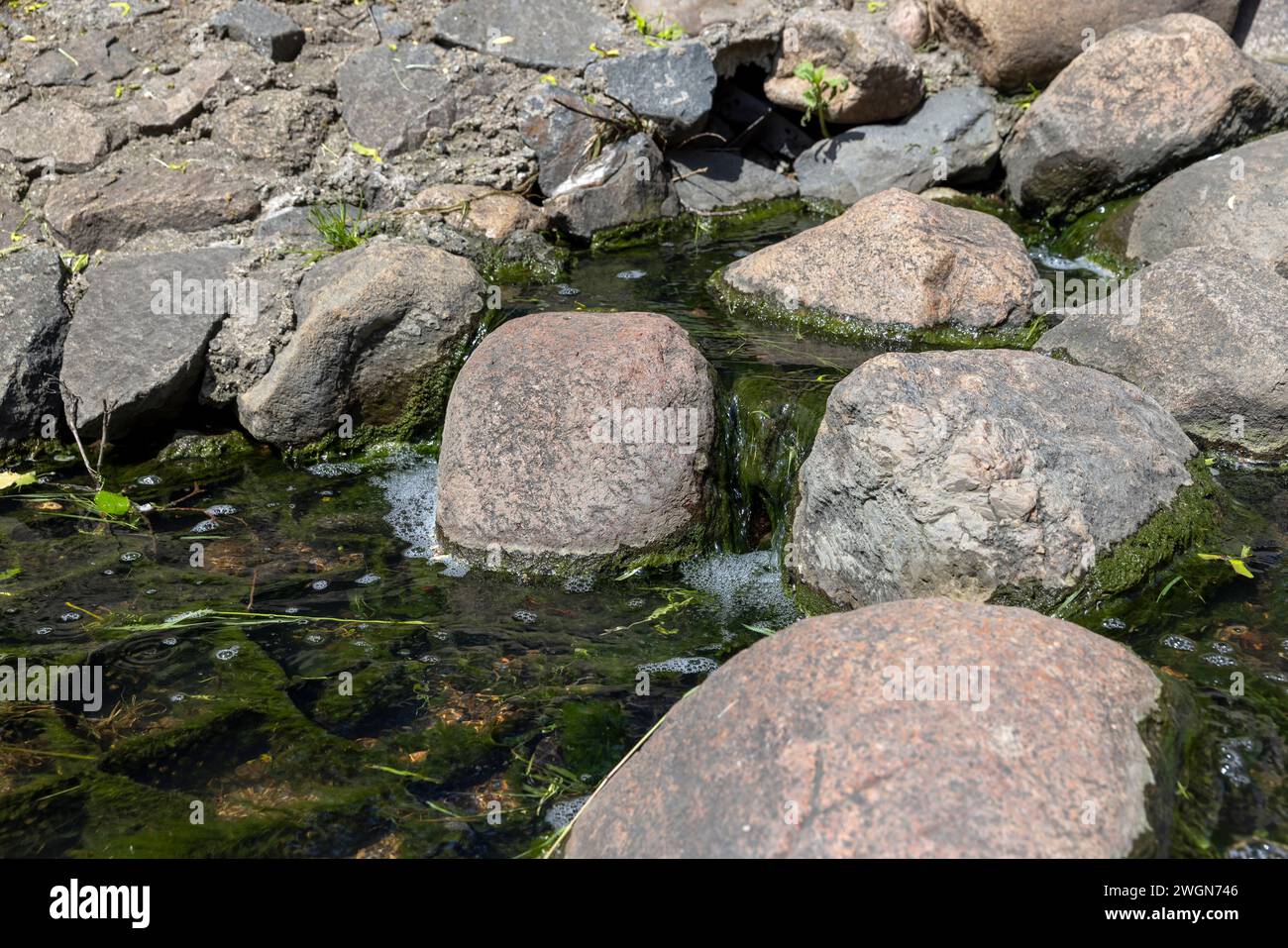 water flowing in a small narrow stream in summer, a small stream with ...