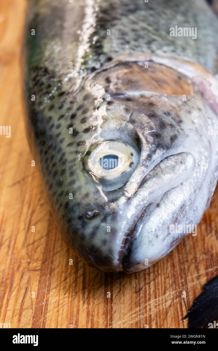 Raw, uncooked fish head on a kitchen wooden board, top down close up ...