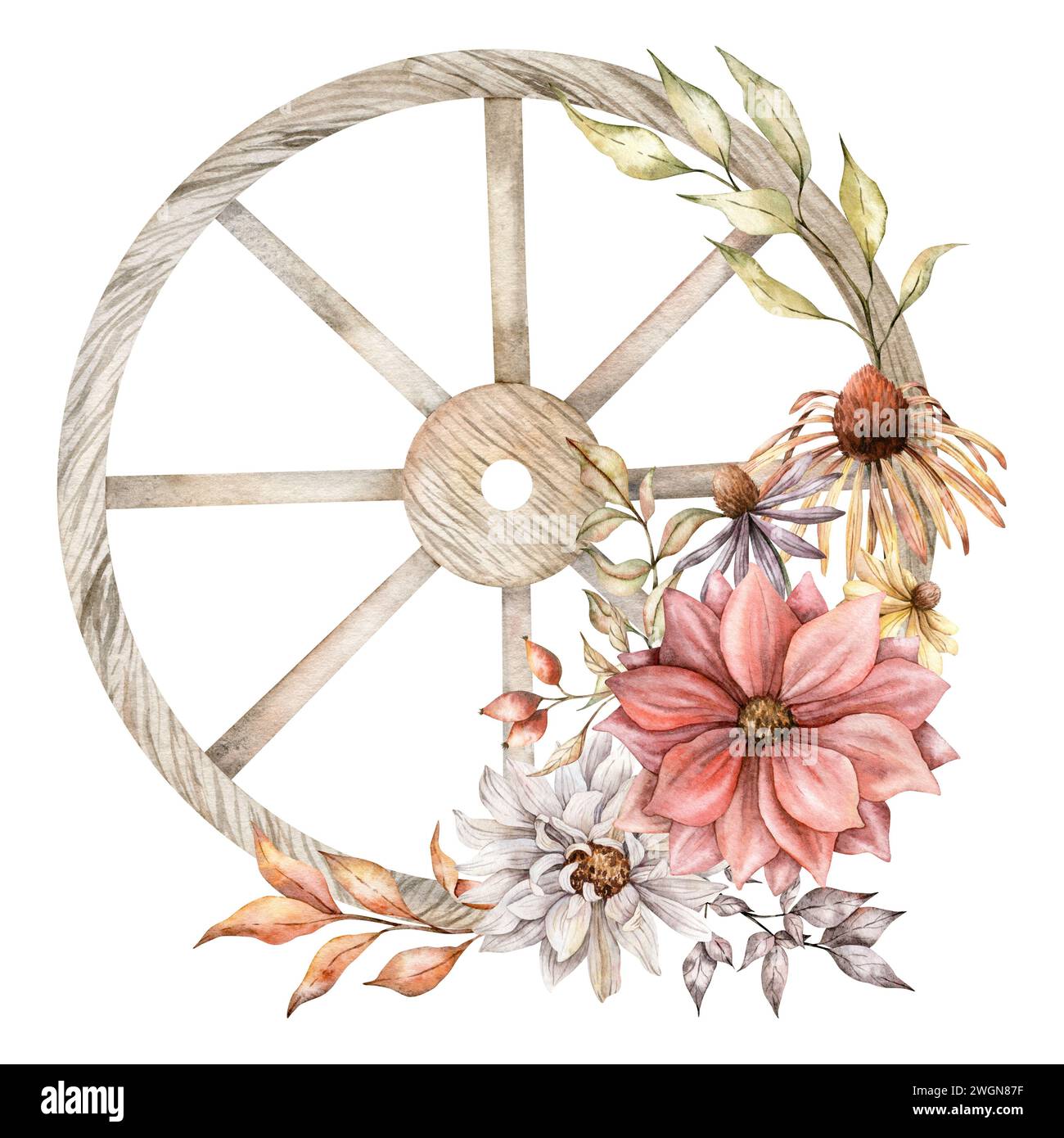 Old wooden wheel with dired flowers with dahlia. Hand painted asters ...