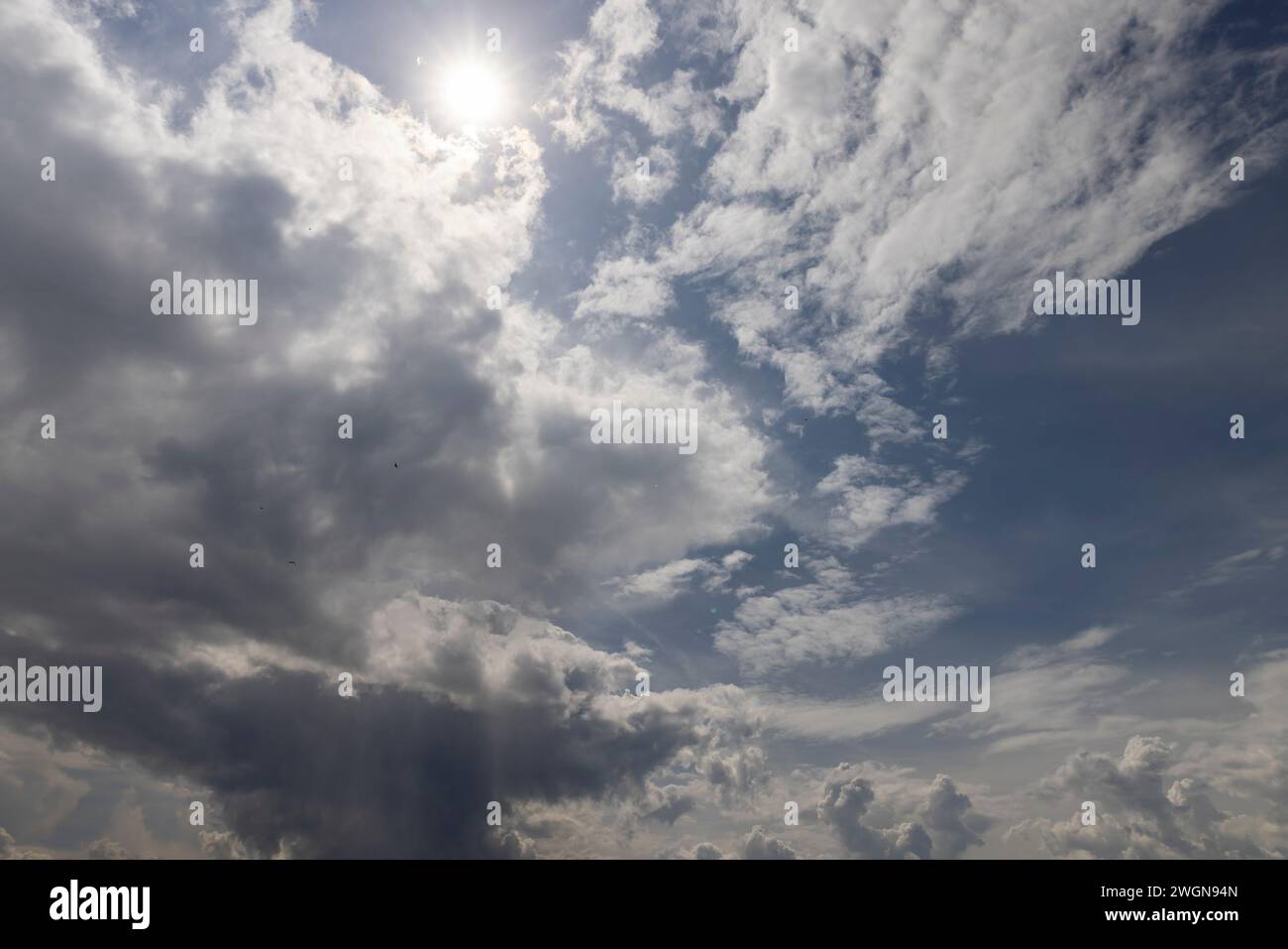 cloudy weather in the summer, the sky in clouds of different shapes and ...