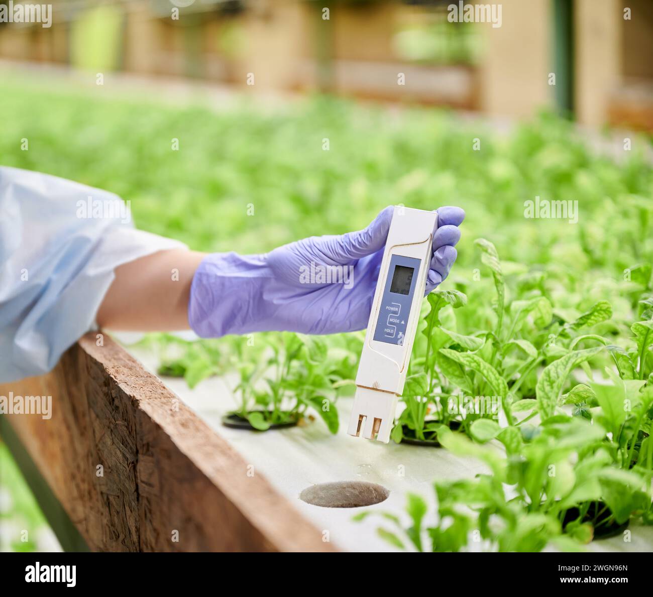 Botany research device hi-res stock photography and images - Alamy