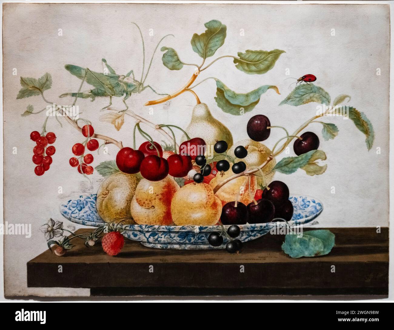 Johanna Helena Herolt, still life with fruit and grasshopper in a Delft bowl. circa 1690 ...