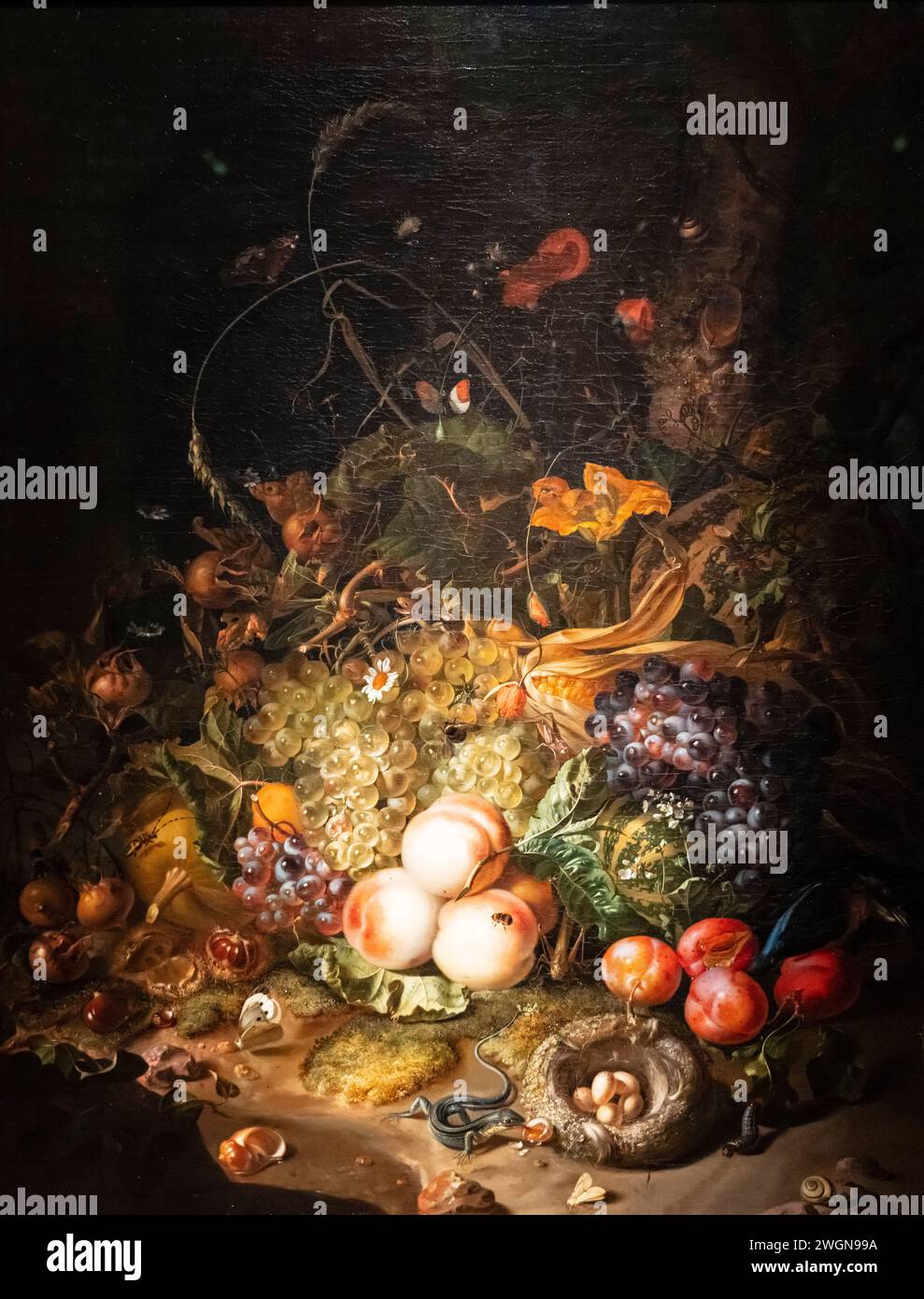 Represent fruits hi-res stock photography and images - Alamy