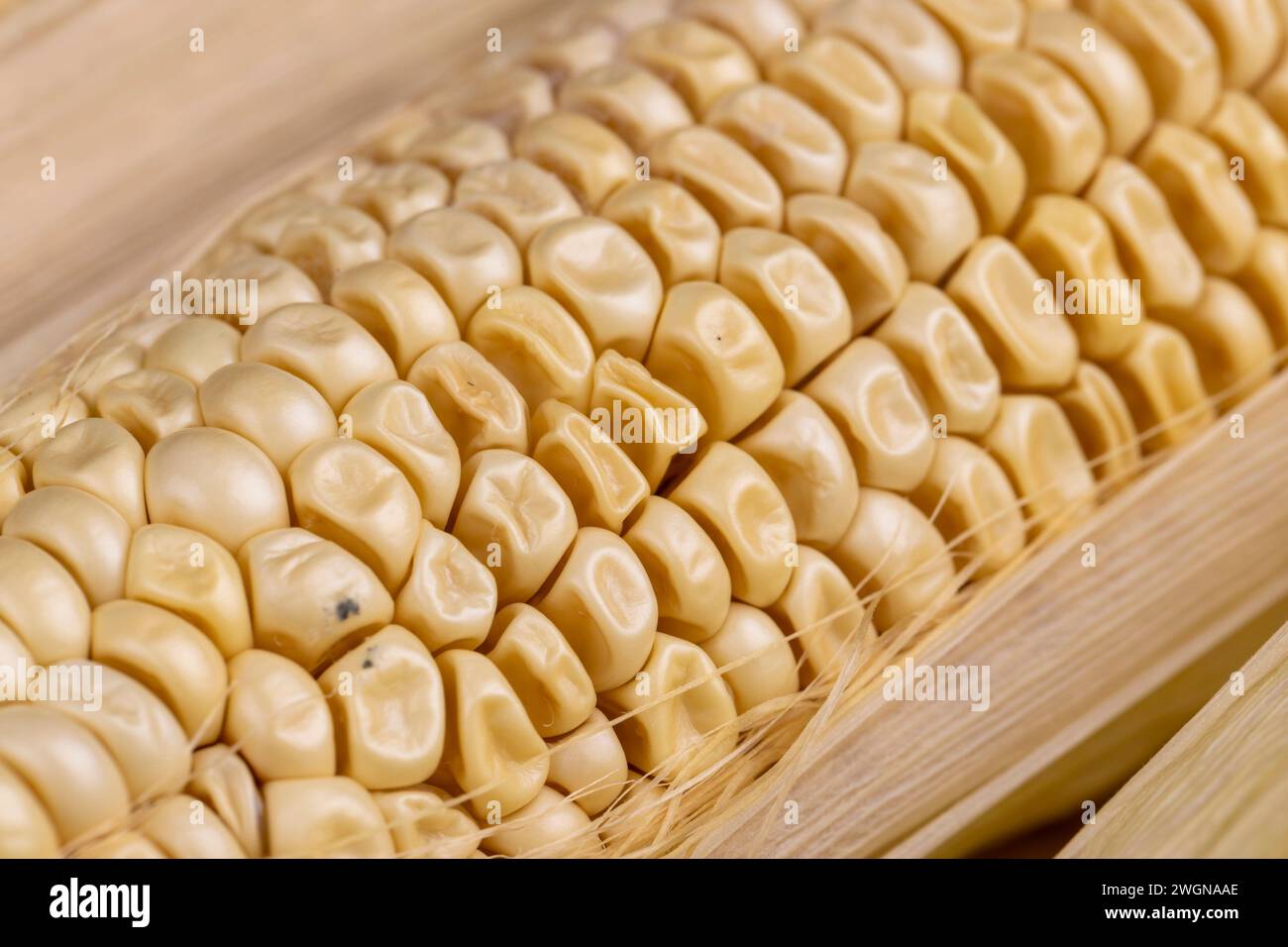 Corn kernel pests hi-res stock photography and images - Alamy