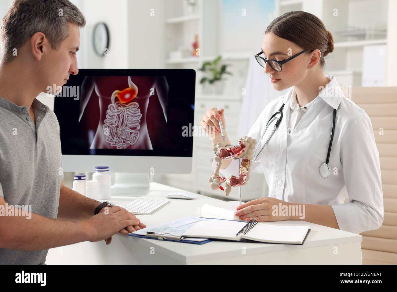 Gastroenterologist with anatomical model of large intestine consulting ...