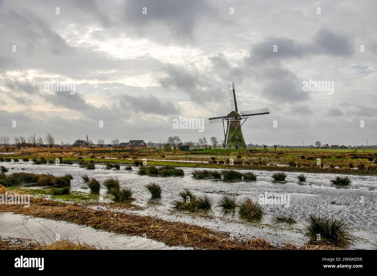 Dutch windmill in a polder under a dramatic sky Stock Photo - Alamy