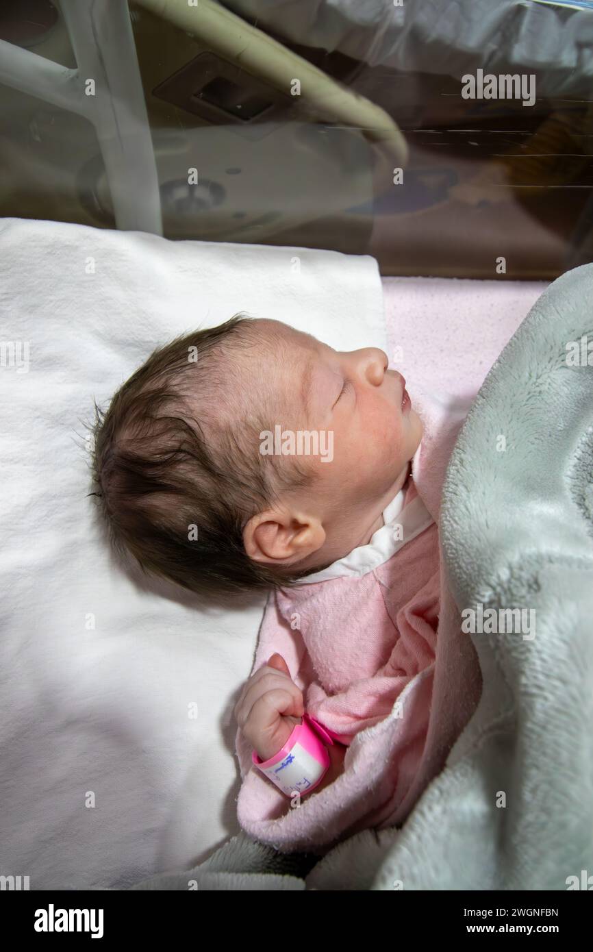 On her first day of life, a newborn baby girl wears a pink hospital ID ...