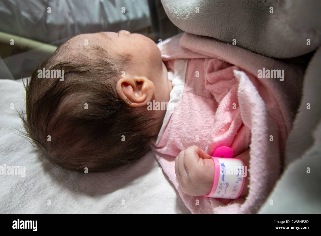 On her first day of life, a newborn baby girl wears a pink hospital ID ...