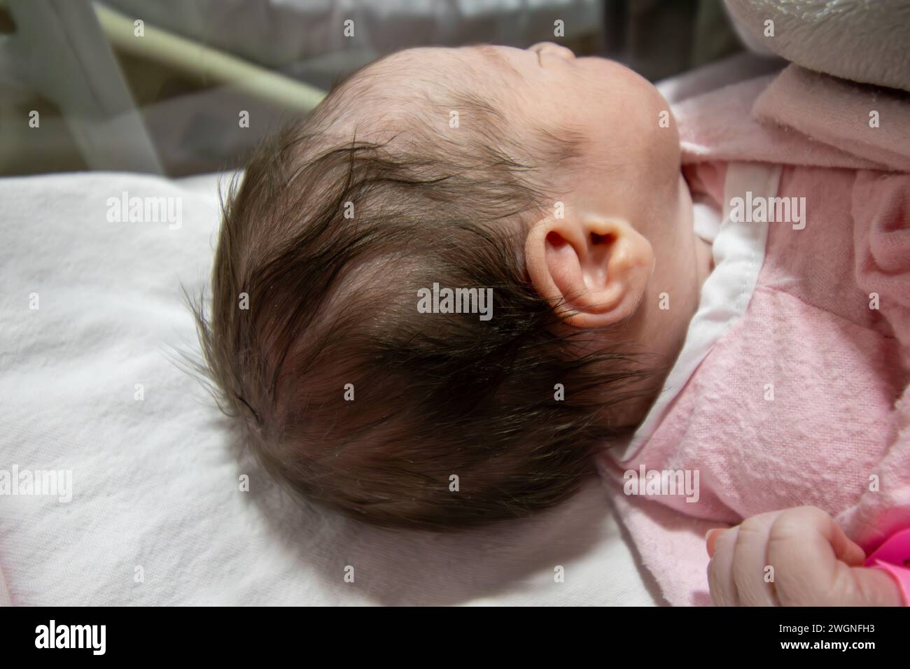 On her first day of life, a newborn baby girl wears a pink hospital ID ...