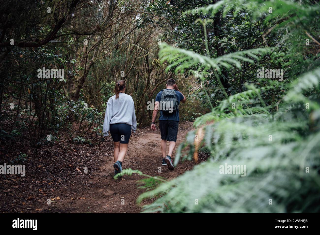 Traveler walks along path hi-res stock photography and images - Alamy