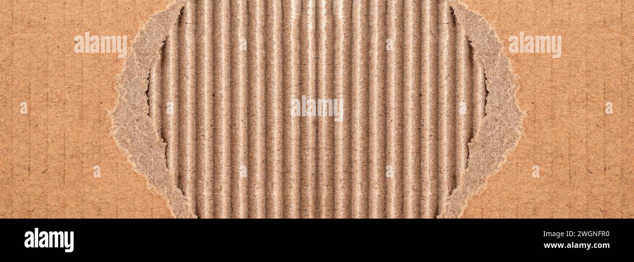 Corrugated Cardboard Tear. Kraft Torn Recycled Paper Stock Photo - Alamy