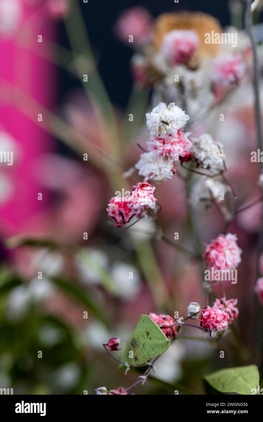 A combined bouquet of different types of flowers in close-up, beautiful ...