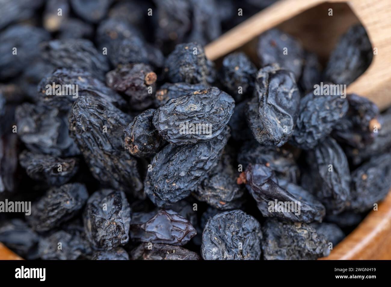 dry blue raisins from large grapes, dried seedless raisins Stock Photo ...