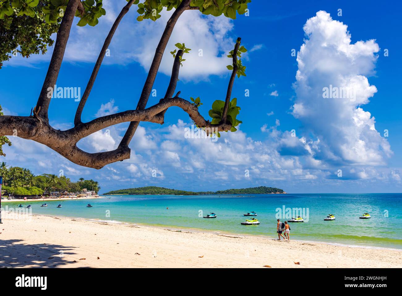 Tree branch overhang on Chaweng beach, Ko Samui, Thailand Stock Photo ...