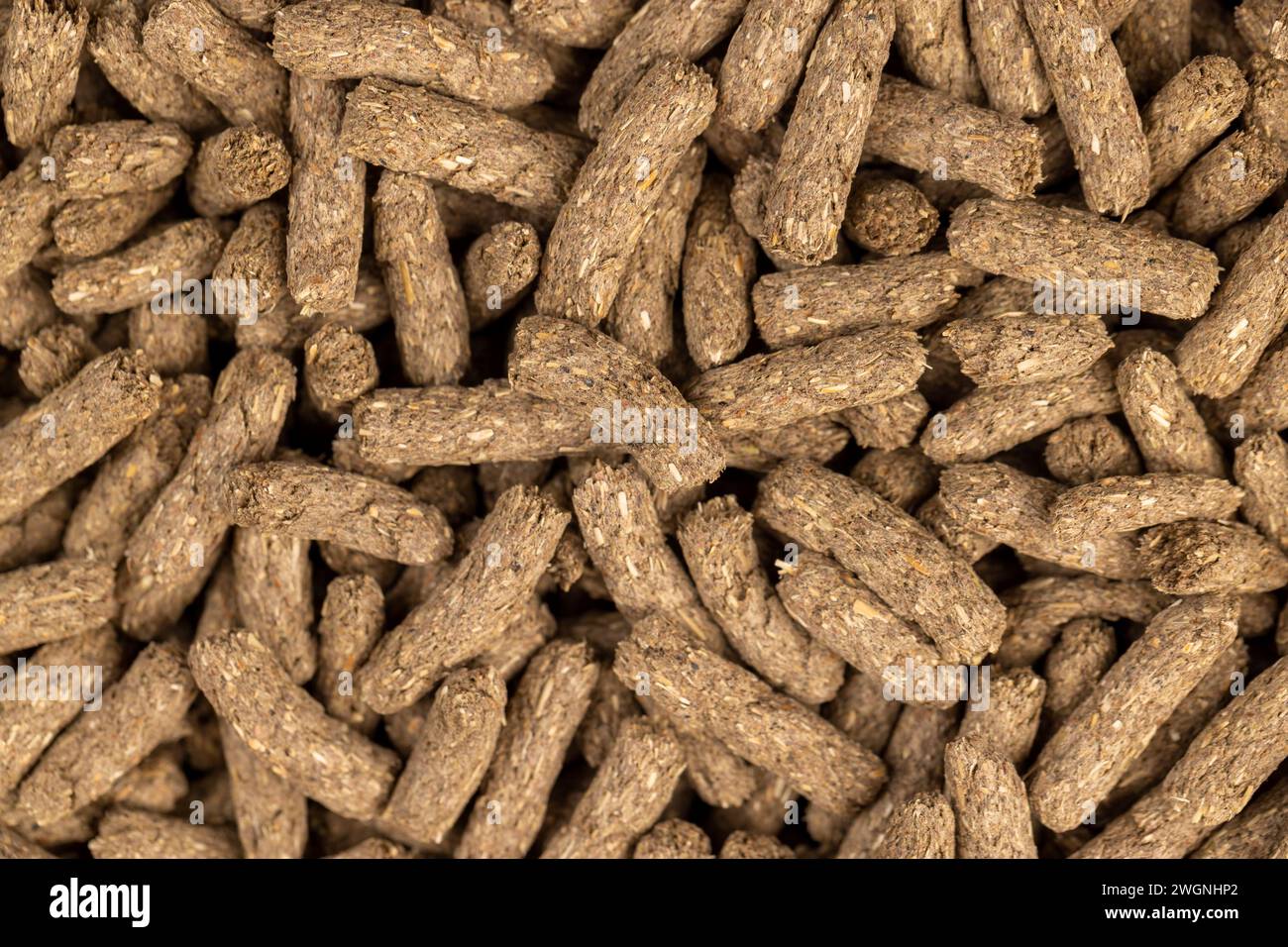 combined food for rodent pets, combined healthy food for rodent ...