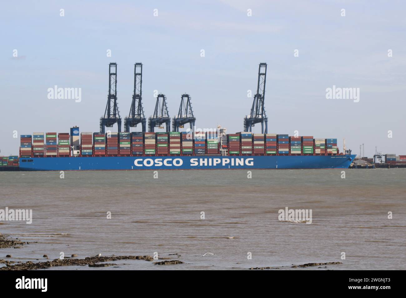 400m long, 196670 tonnes, Cosco Shipping Pisces unloading at Felixstowe ...