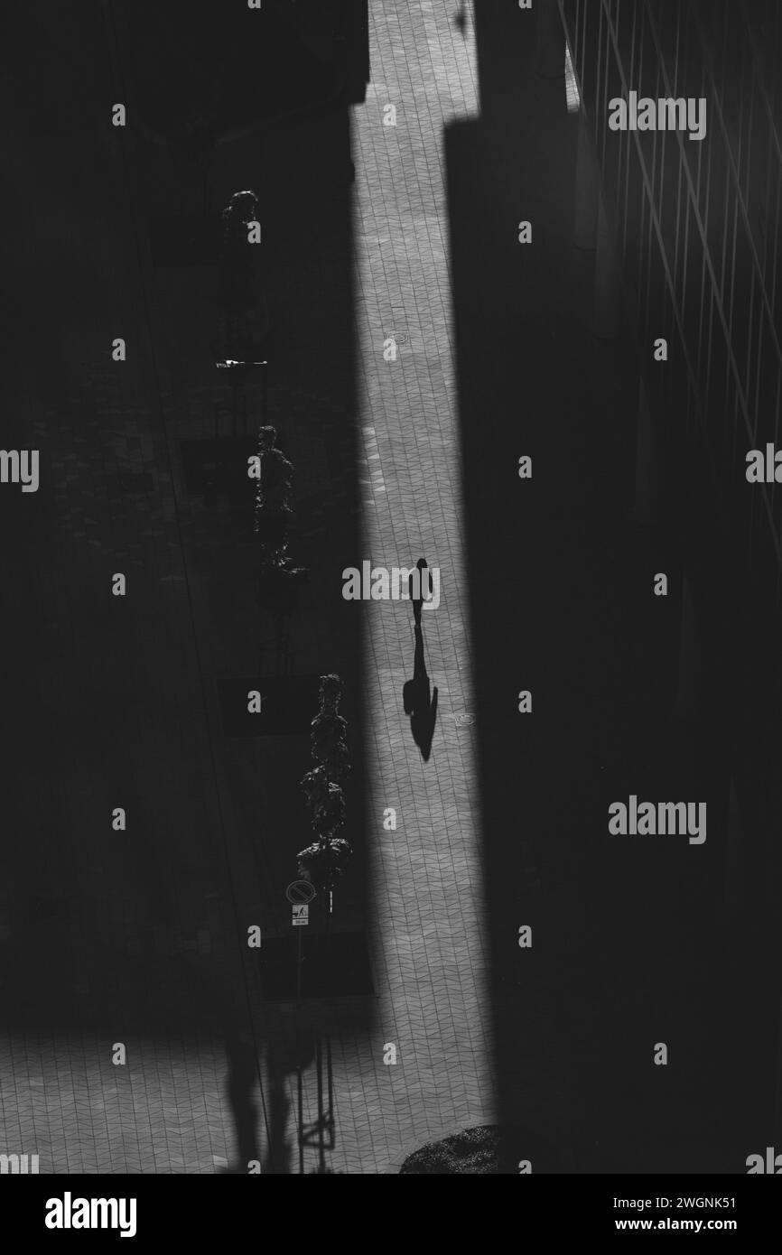 Person walks in the light casting a shadow Stock Photo - Alamy