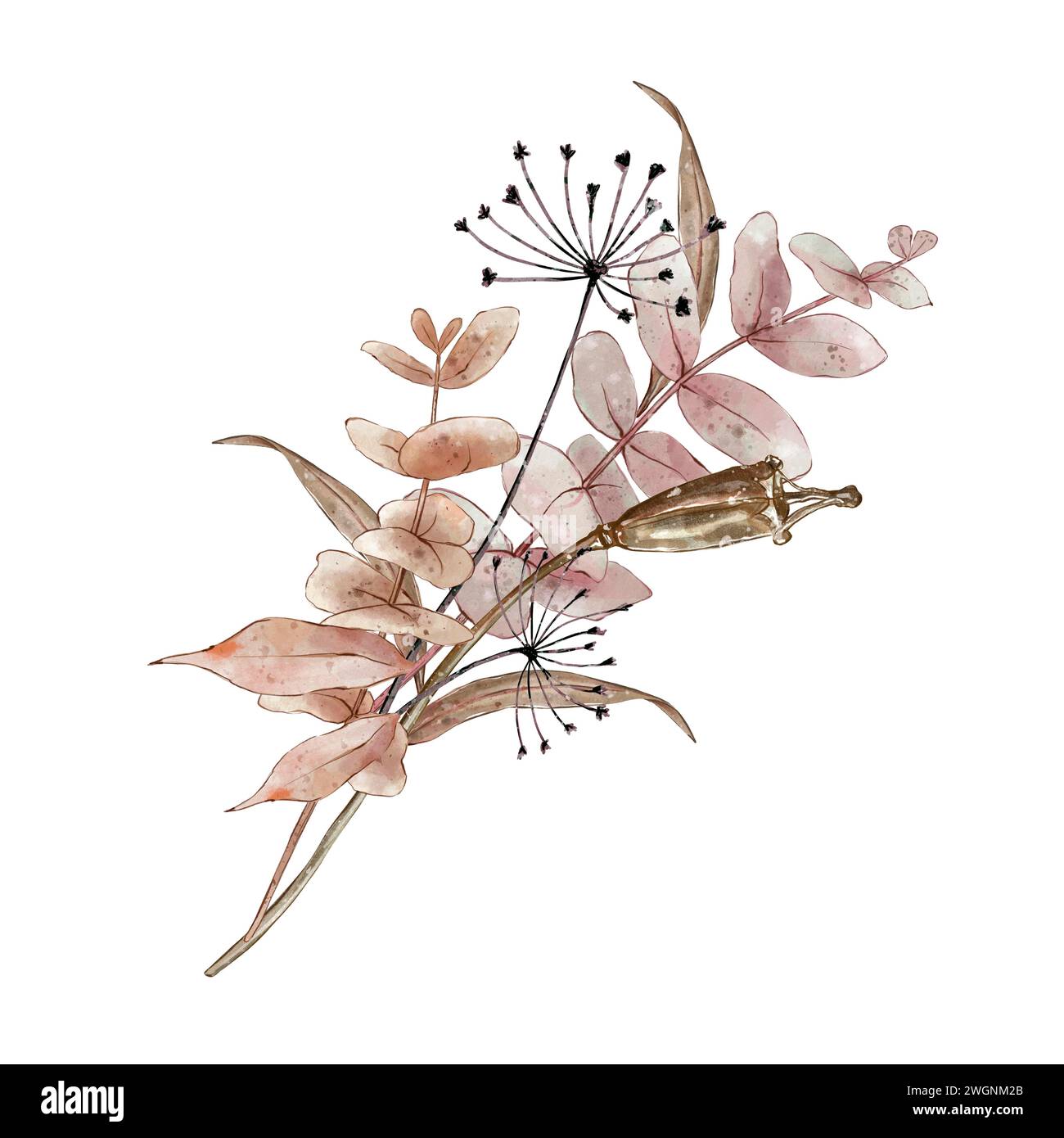 O branches Cut Out Stock Images & Pictures - Alamy