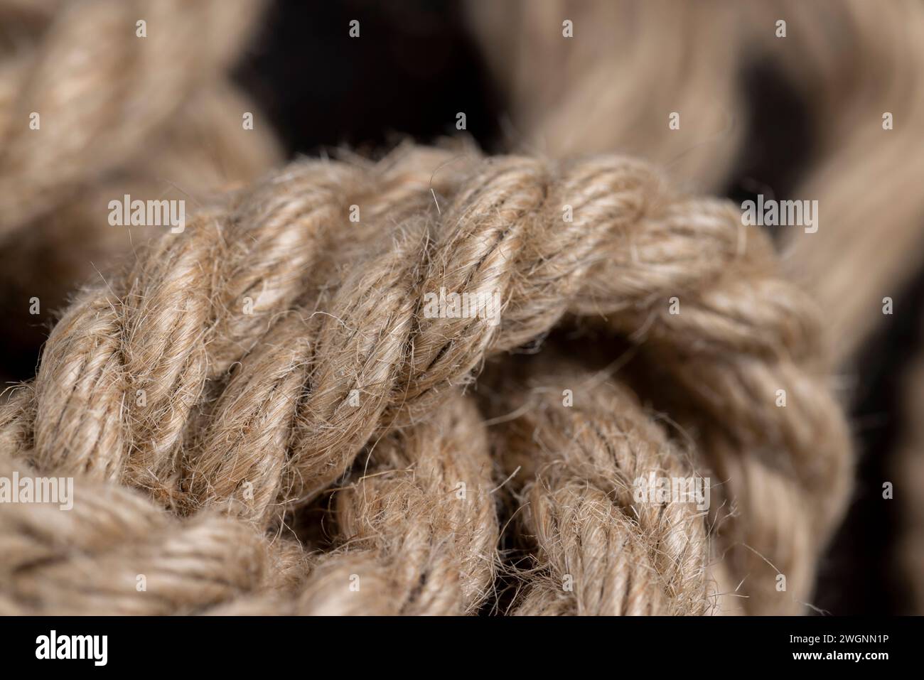coarse linen rope in close-up, a rope from which you can tie a knot ...