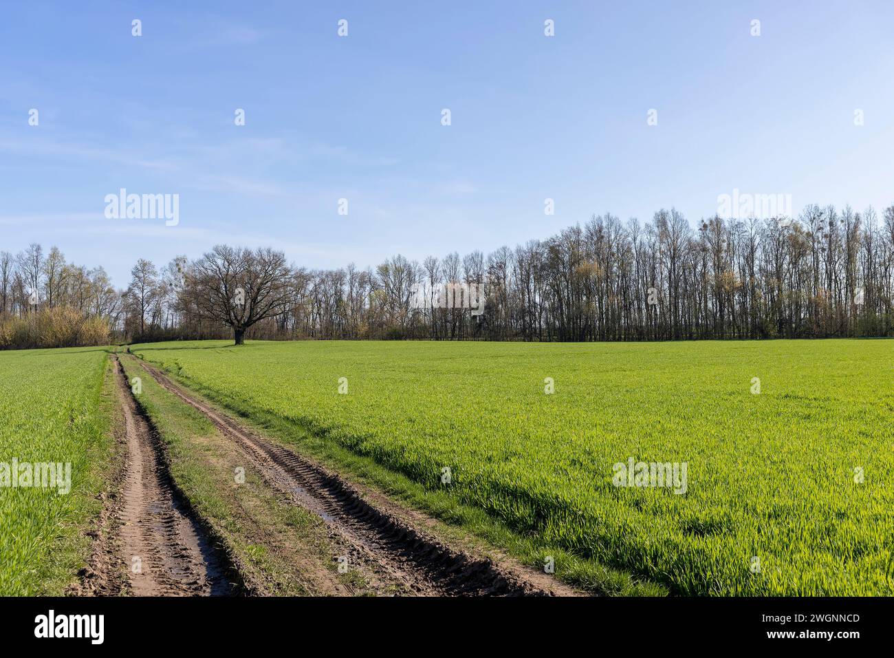 poor rural road without asphalt or other pavement, parts of the road in ...