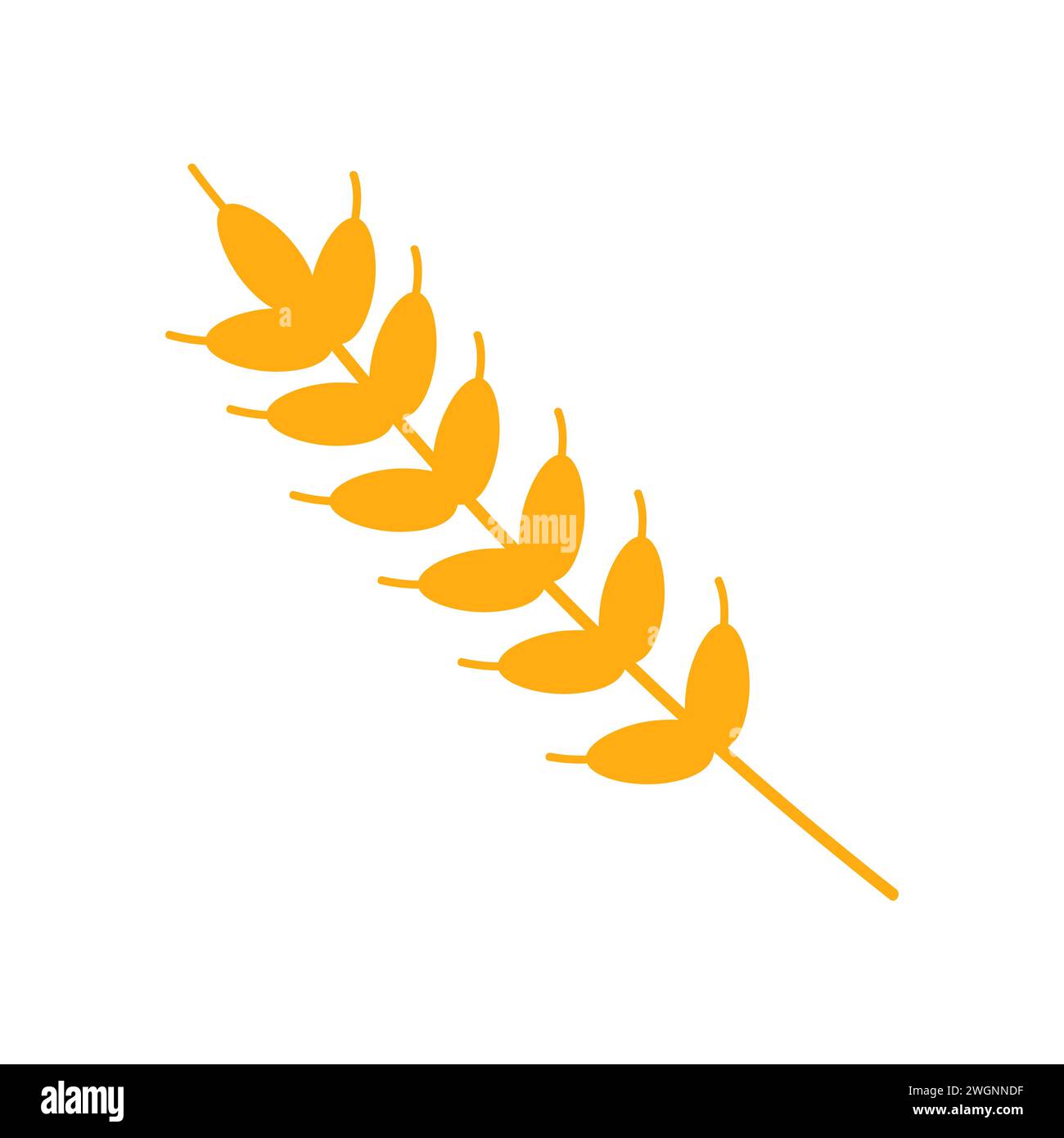 Wheat spikelet and stem, whole ear with yellow seeds vector ...