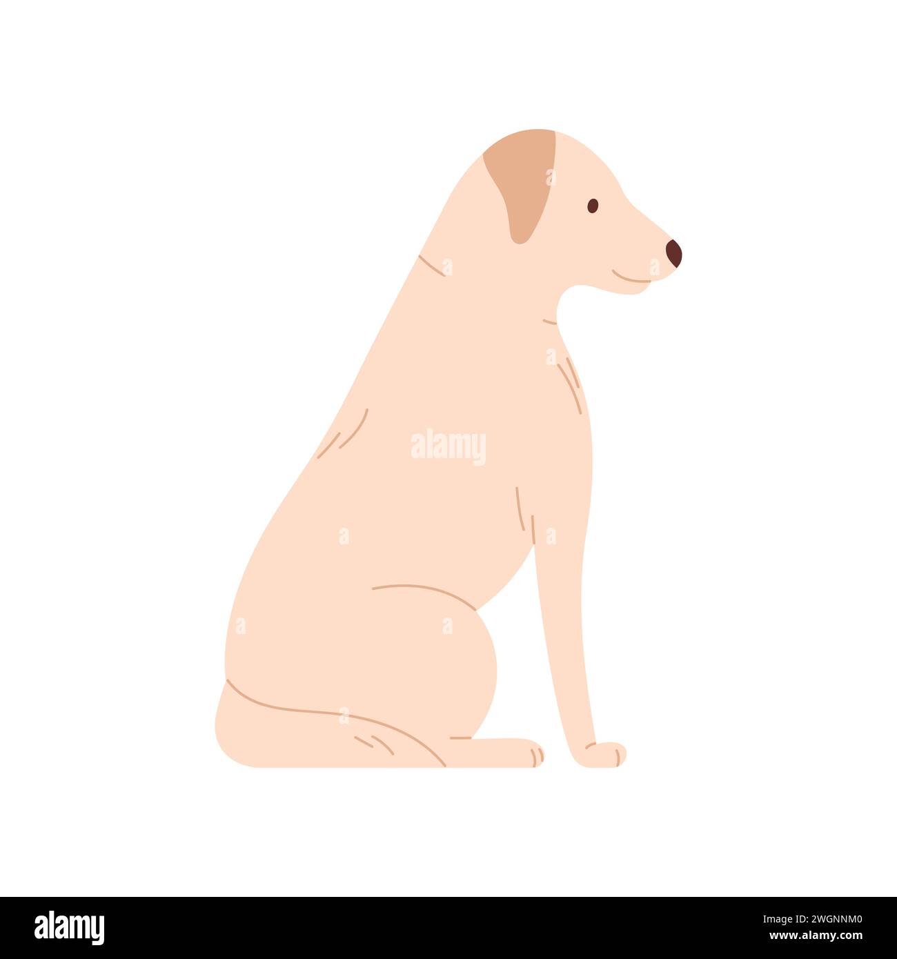 White dog sitting, funny portrait of furry puppy with tail, side view vector illustration Stock ...