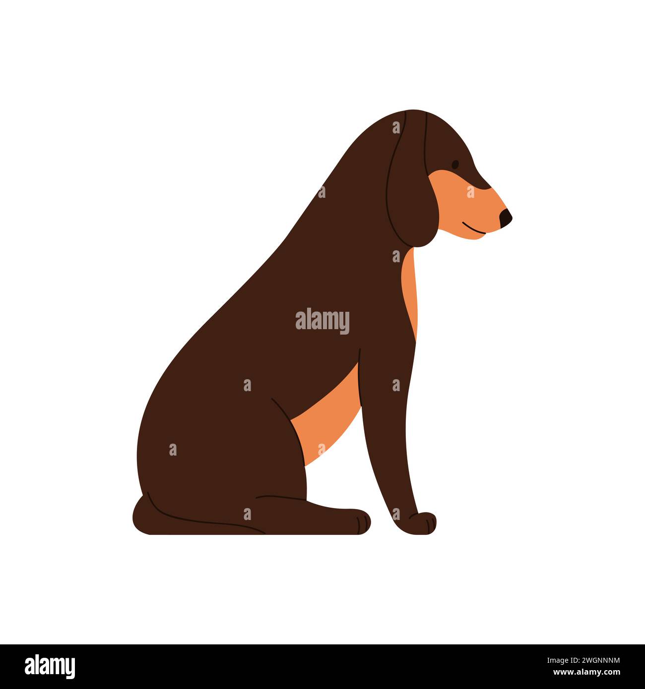 Dog sitting, side view of brown funny puppy companion vector ...