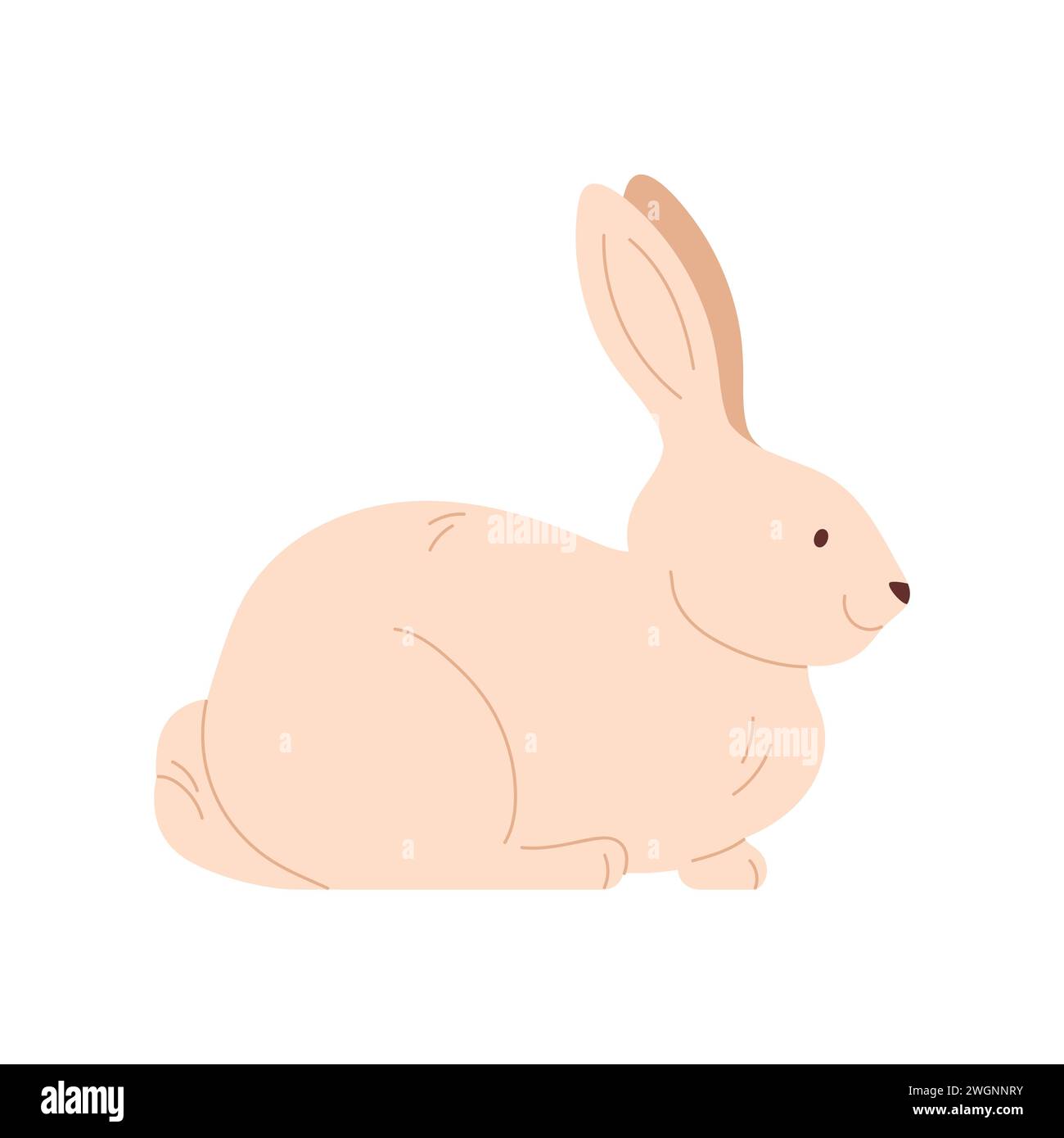White rabbit sitting, funny happy bunny with long ears on head vector ...