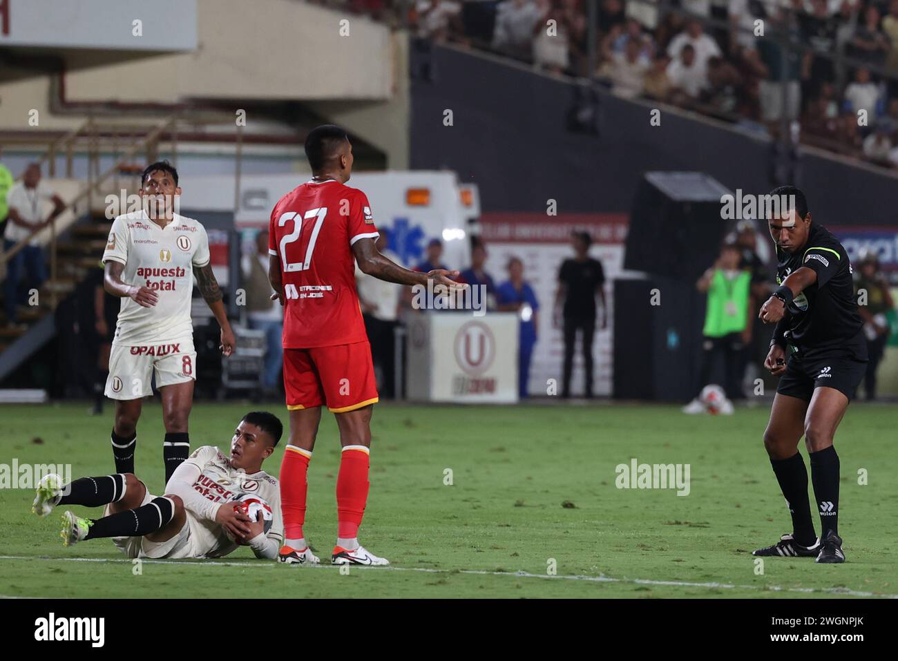 Concha de lima hi-res stock photography and images - Alamy