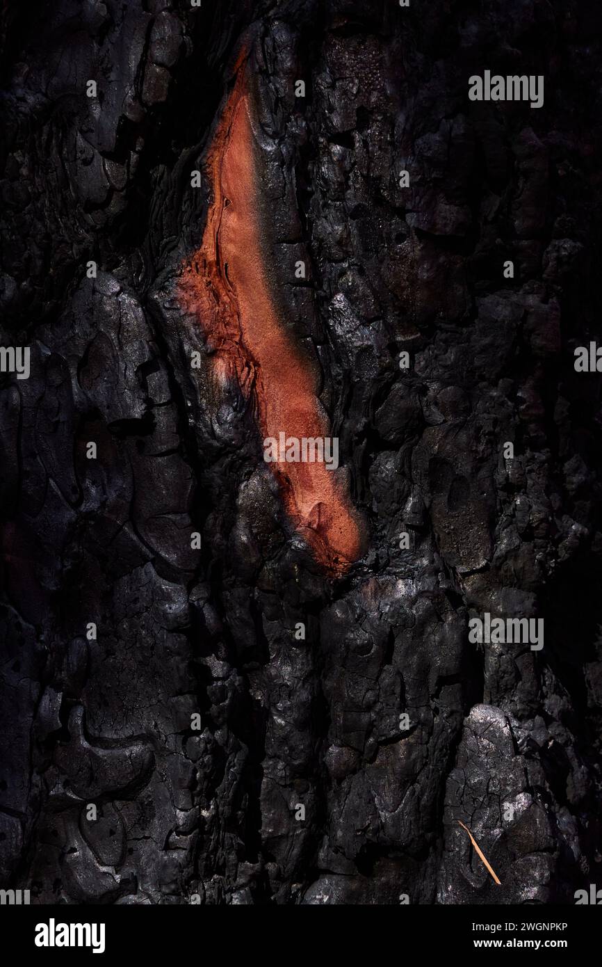 Burn scar hi-res stock photography and images - Alamy